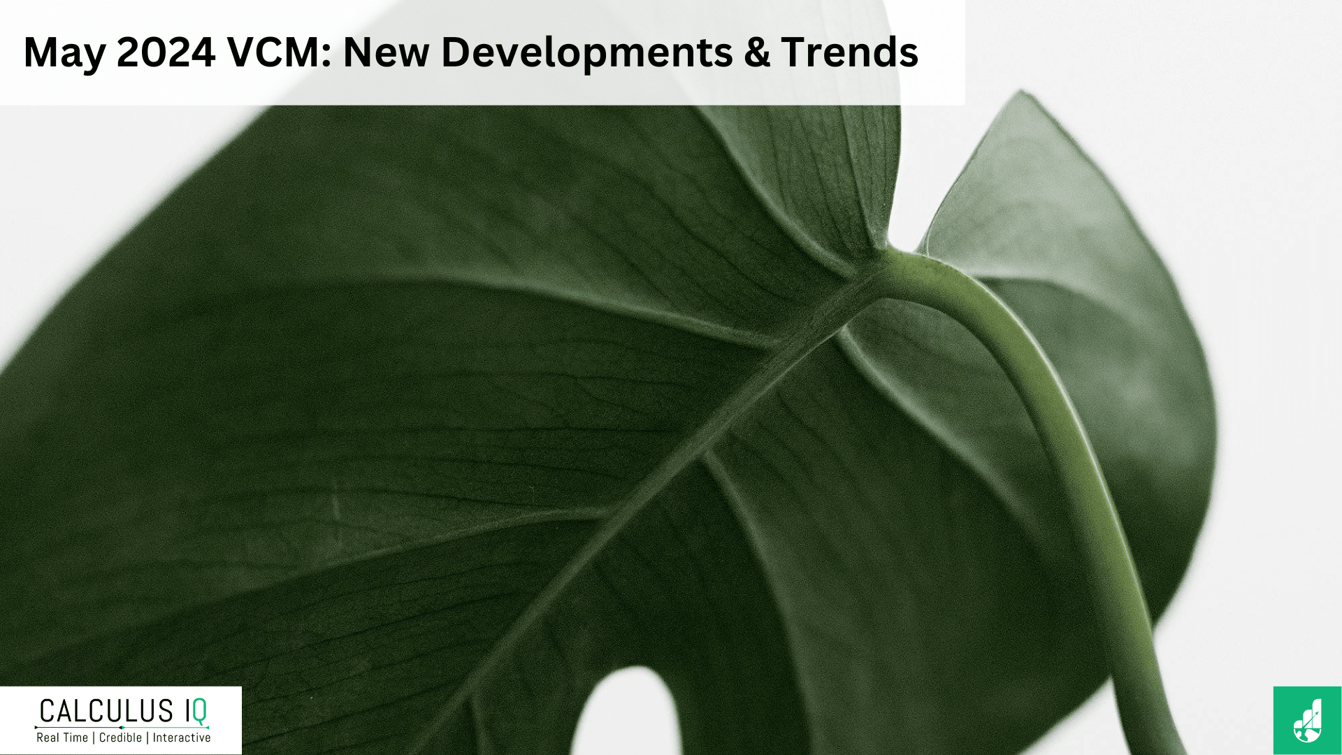 May 2024 VCM: New Developments & Trends